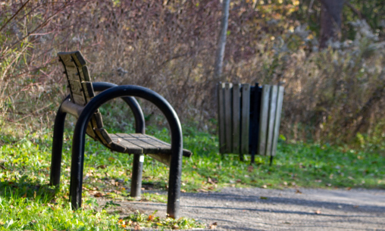 Discover Accessible Trails in Richmond Hill with the AccessNow App ...
